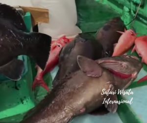 Most Popular Things to Do in Aceh Indonesia – Best Activities & Tourist ...