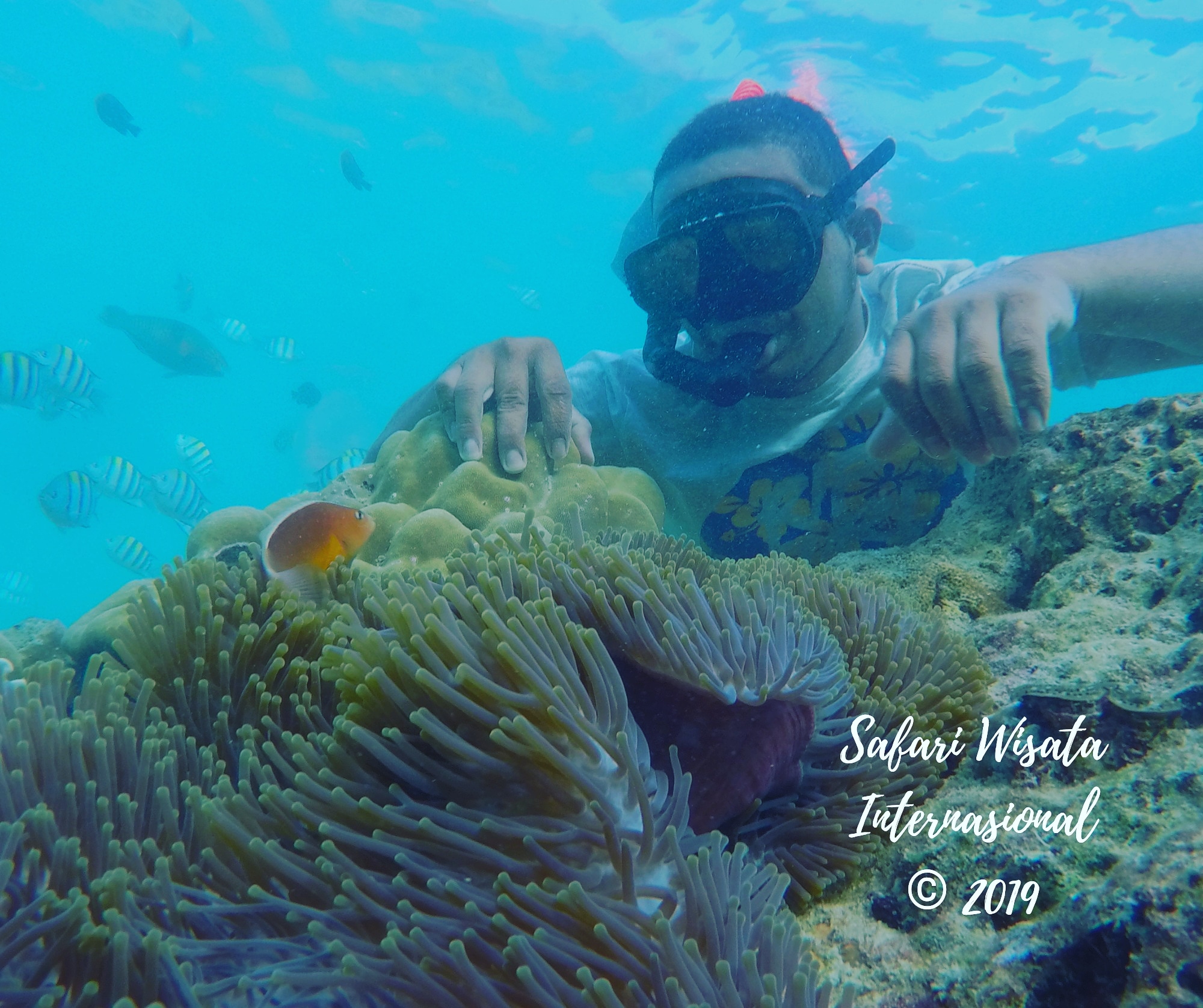 Gapang Beach Pulau Weh, A Shady White Sand Beach & Closest to Macro ...