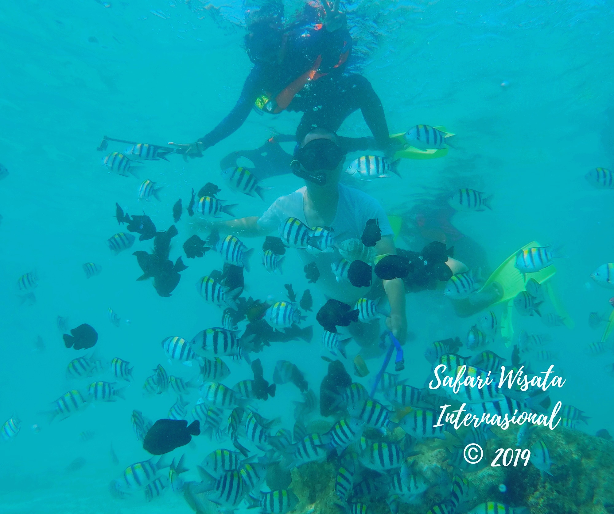 Rubiah Island: A Beautiful island in Pulau Weh (Sabang Island) Aceh ...