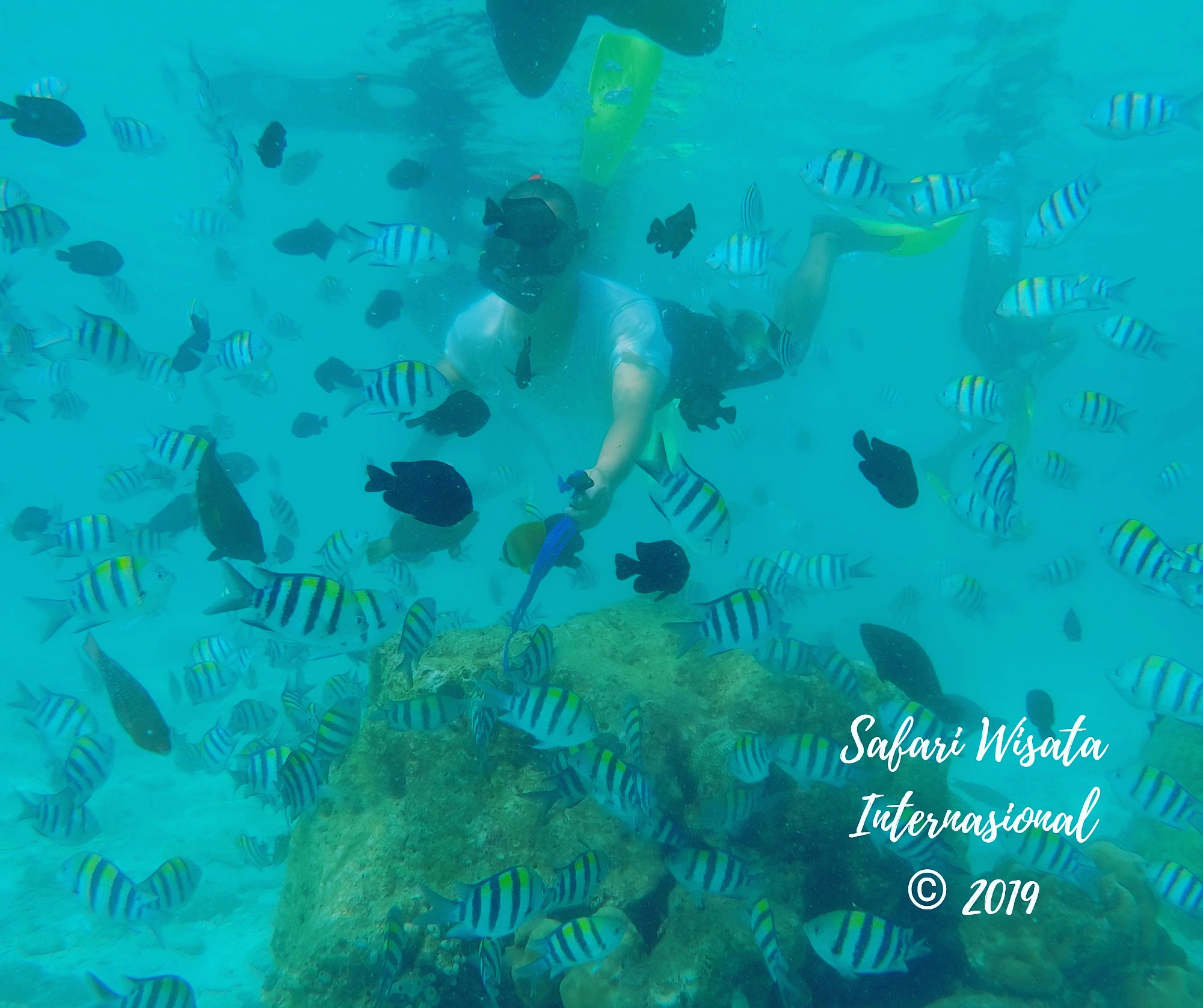 Rubiah Island: A Beautiful island in Pulau Weh (Sabang Island) Aceh ...