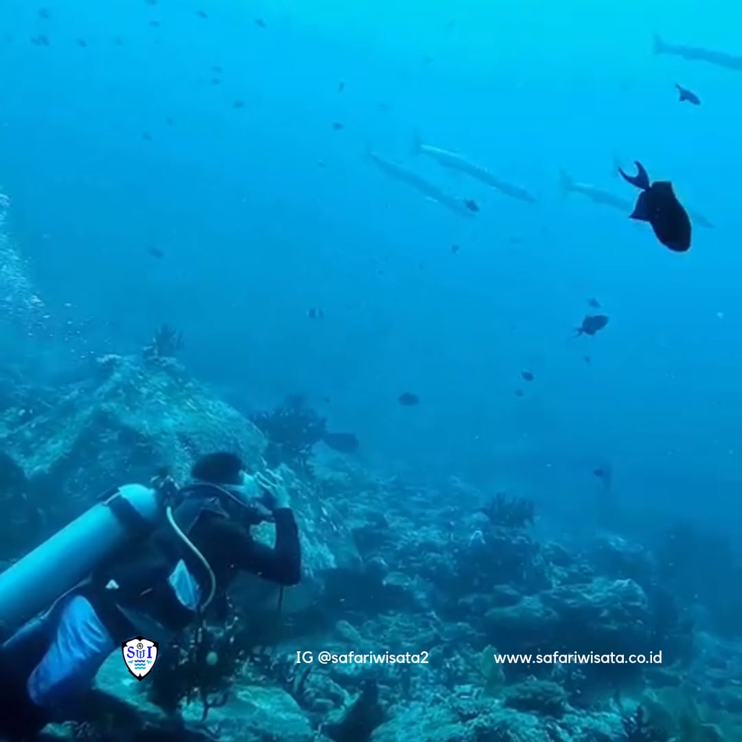 Pulau Weh Diving Package, Sabang Weh Island Dive Trip Price With Resort ...