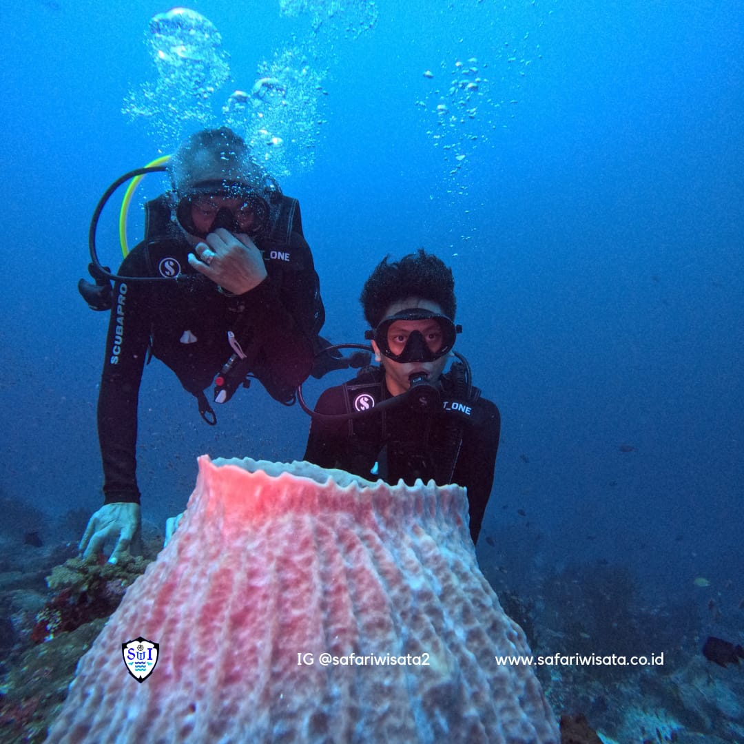 Pulau Weh Diving Package, Sabang Weh Island Dive Trip Price With Resort ...